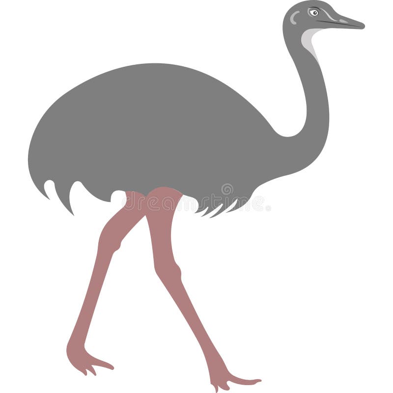 Emu Legs Stock Illustrations – 156 Emu Legs Stock Illustrations ...