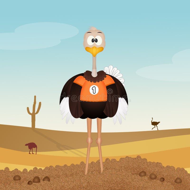 Race between Ostrich and Turtle Stock Vector - Illustration of compete ...