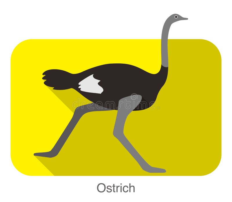 Ostrich Running, Animal Body Series, Vector Stock Vector - Illustration ...