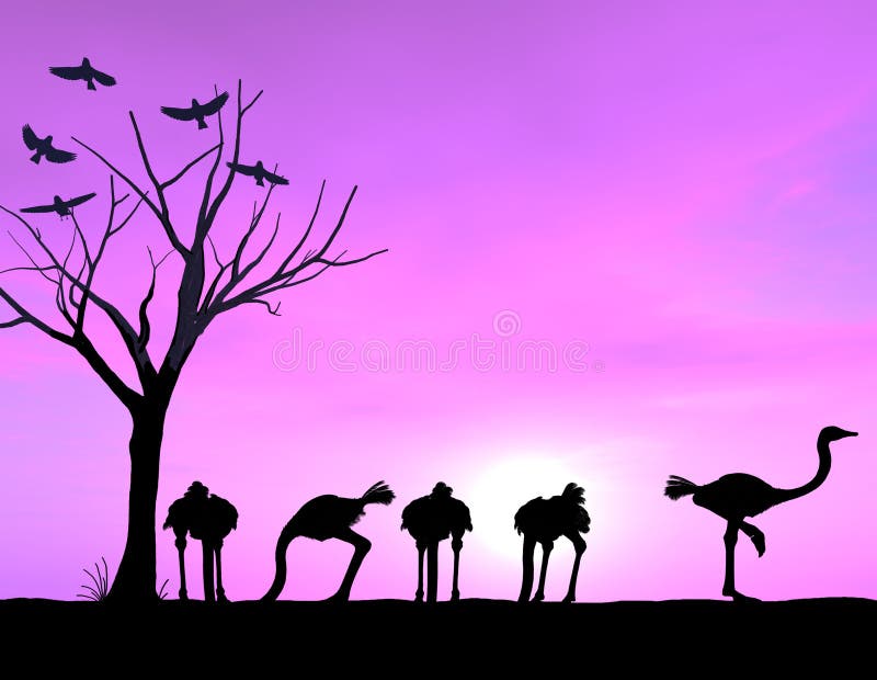 Courageous Pictures Of Animals