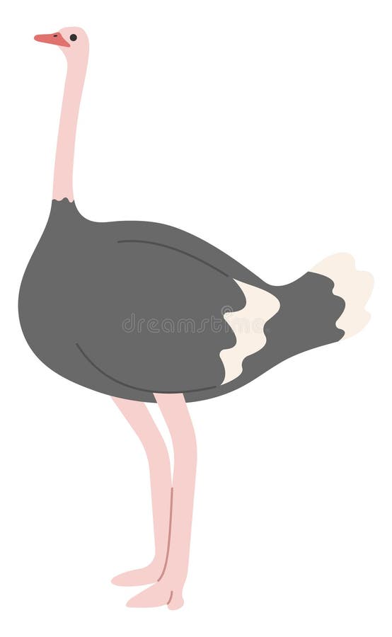 Single 11 Stock Illustrations – 983 Single 11 Stock Illustrations ...