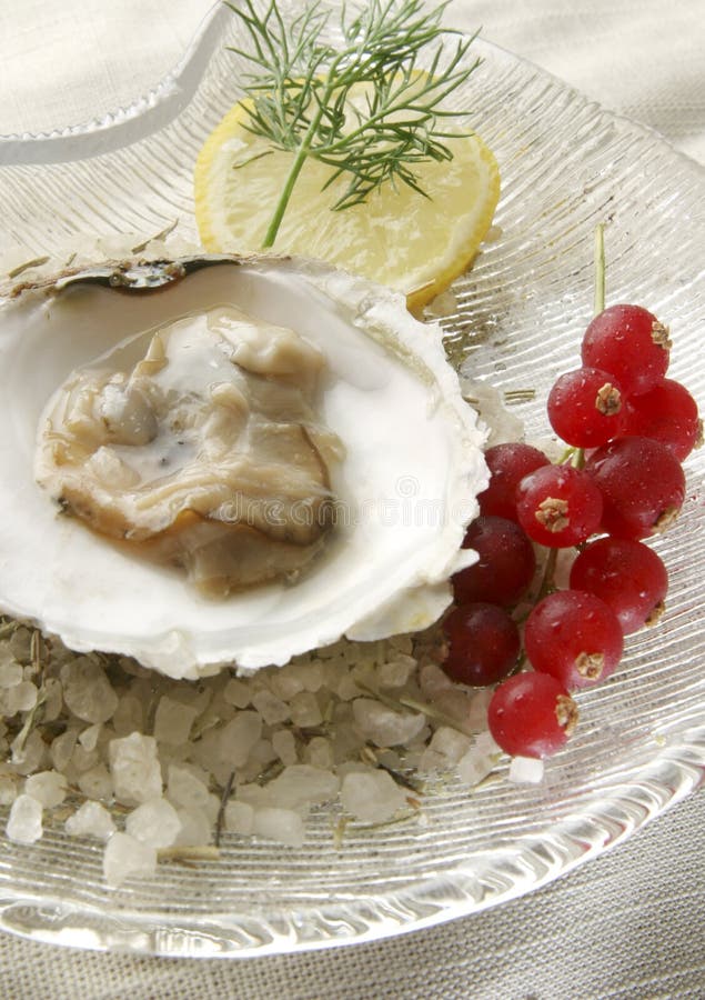 Ostron arkivfoto. Bild av skaldjur, dyrt, restaurang - 10376130