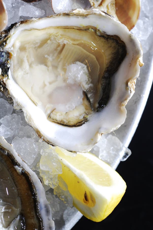 Ostron arkivfoto. Bild av afrodisiak, skaldjur, idérikt - 23969932