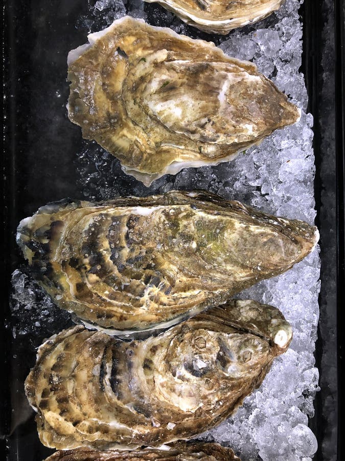 Ostron i isar fotografering för bildbyråer. Bild av äta - 160718957