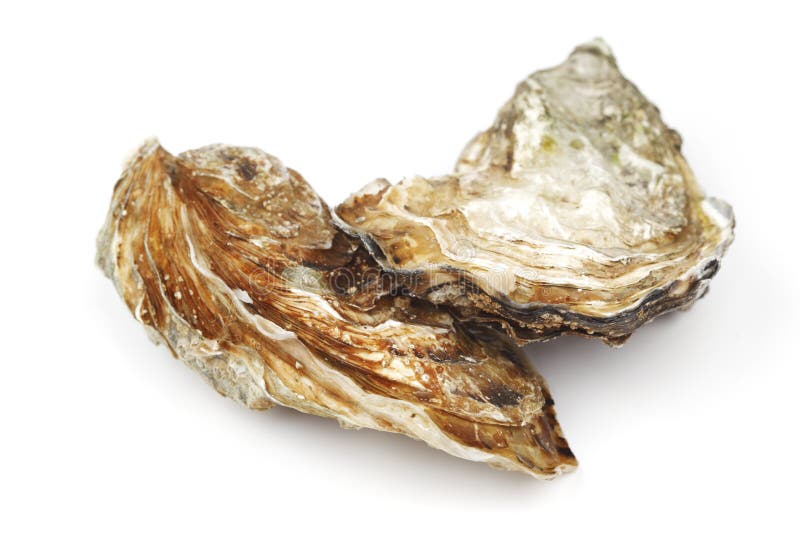 Ostroner arkivfoto. Bild av nytt, stapel, ostroner, grupp - 20299896