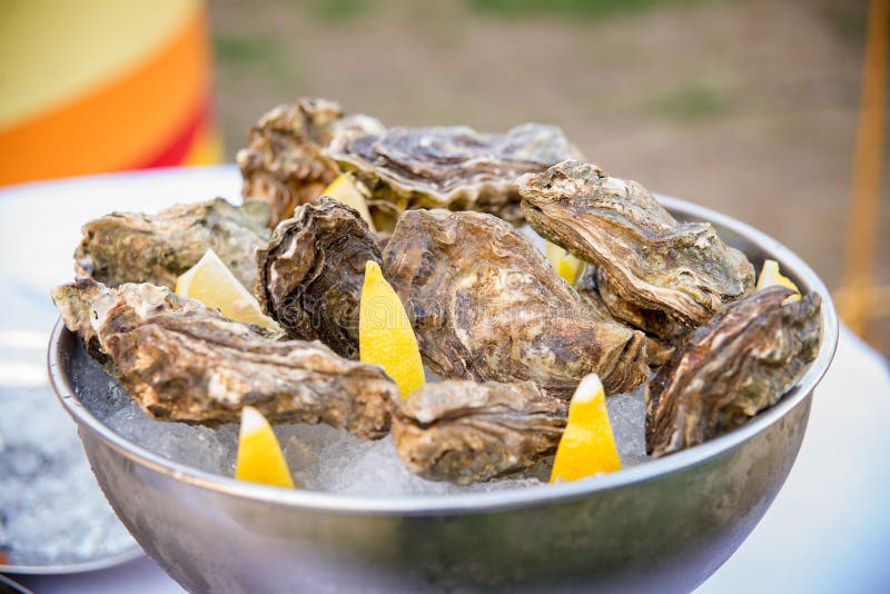 Grillade ostron 2 arkivfoto. Bild av matlagning, grillat - 52153614