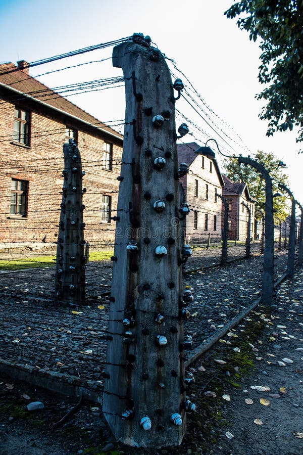 Auschwitz, the Largest Concentration Camp Complex in the Third Reich ...