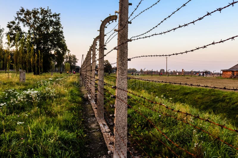 Birkenau, the Largest Concentration Camp Complex in the Third Reich ...