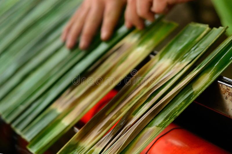 Ota otak stock photo. Image of otak, muar, pepper, close - 22160500