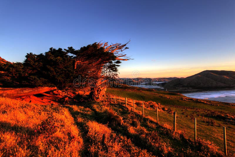 Otago Peninsula, Dunedin stock image. Image of fence - 20024527