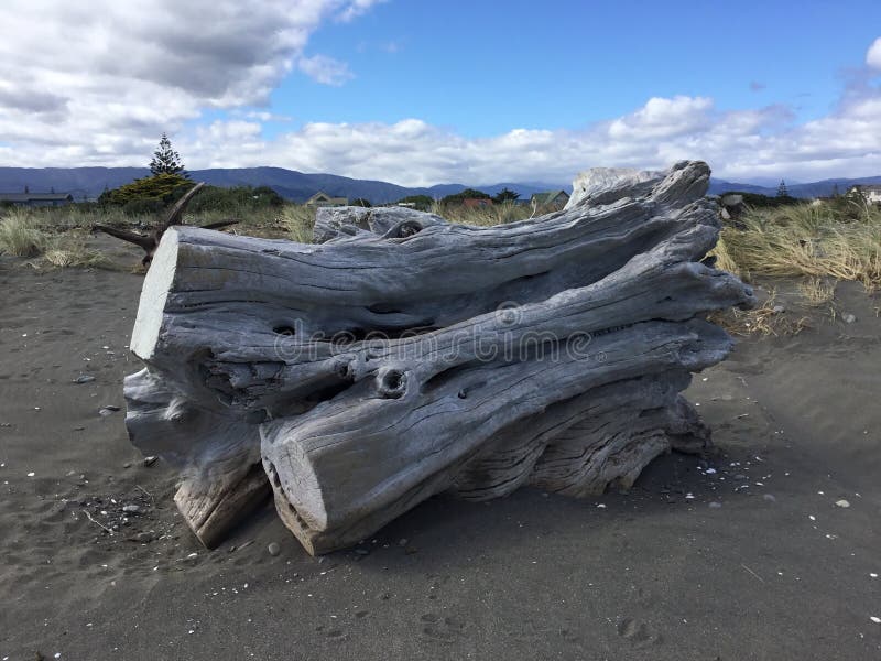Otaki Beach, NZ stock photo. Image of otaki, beach, driftwood - 124923796