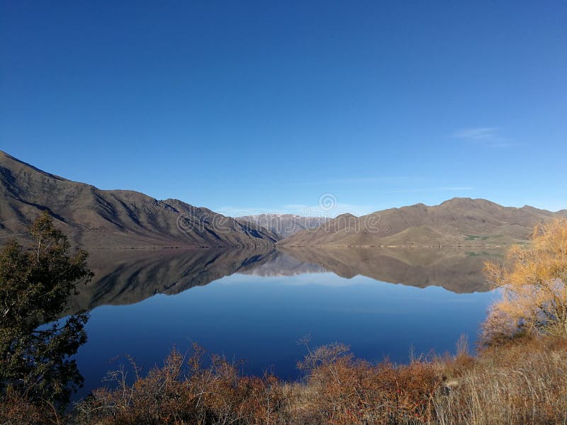 Otematata stock photo. Image of full, river, live, cows - 188690742