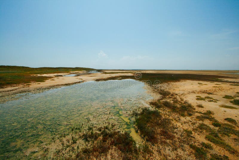 Other world stock photo. Image of fanciful, crust, carotin - 66255304