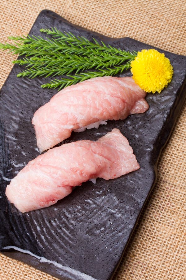 Sushi Japan stock photo. Image of fish, shrimp, seafood - 15798476