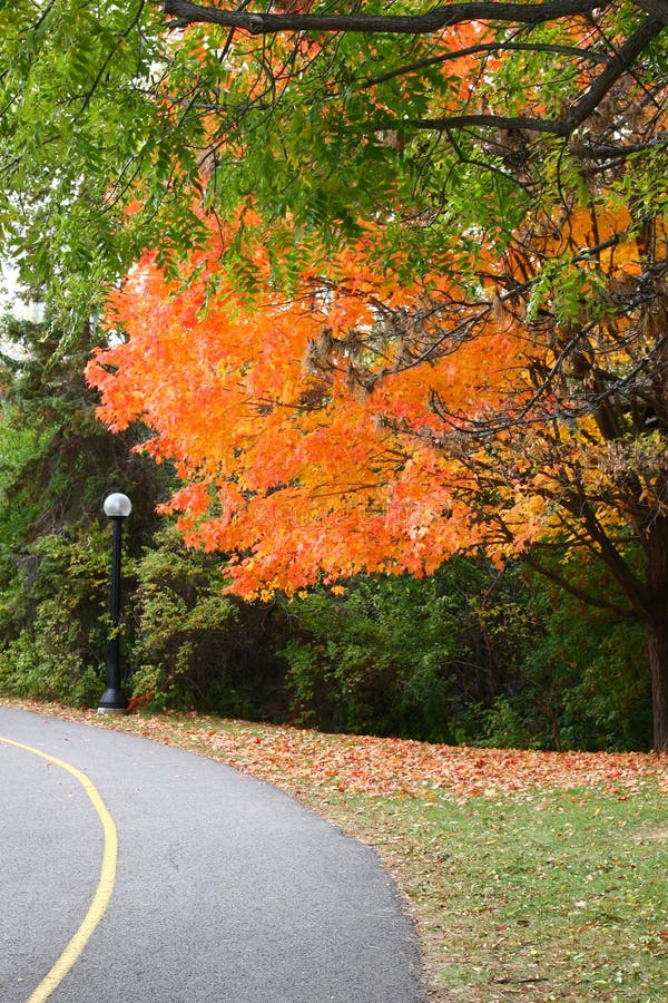 Ottawa Fall stock image. Image of ontario, deciduous - 66102533