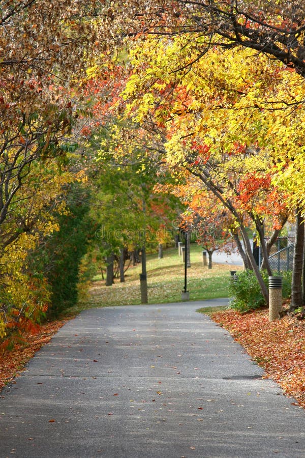 Ottawa Fall stock image. Image of walkway, leaf, deciduous - 66102711
