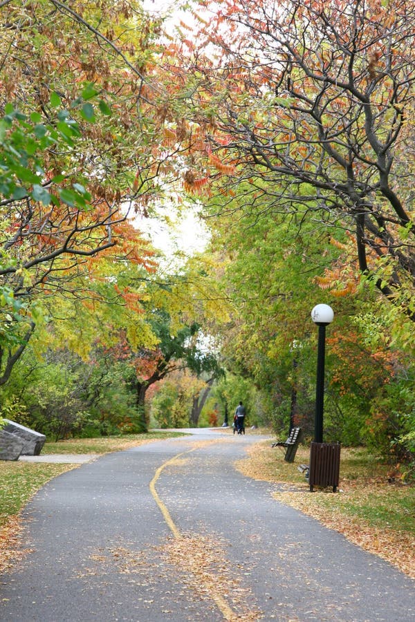 Ottawa Fall stock image. Image of tree, ontario, colorful - 66102251