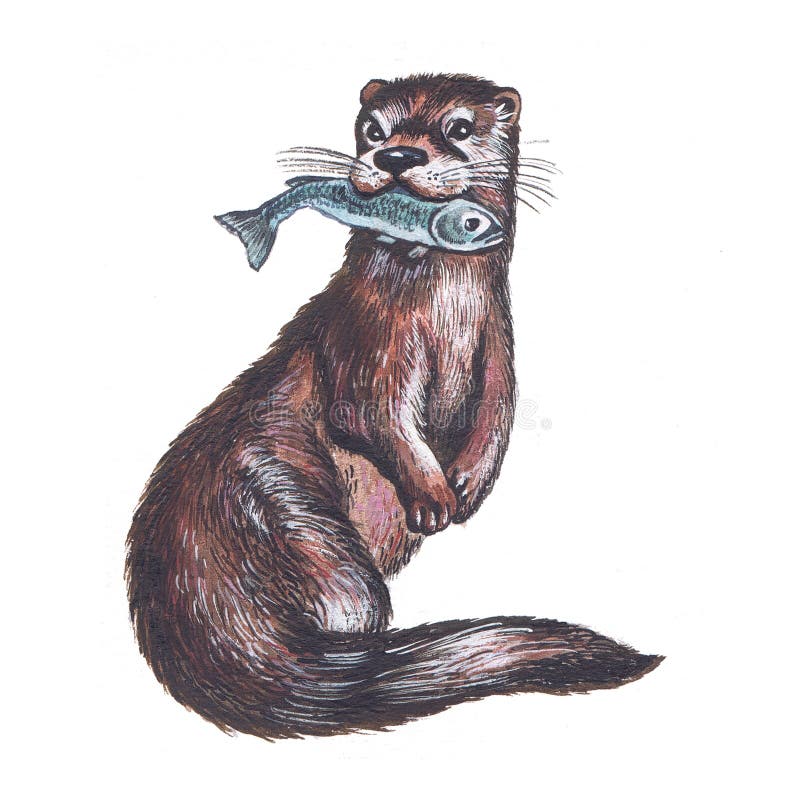 Shellfish Species Stock Illustrations – 1,057 Shellfish Species Stock ...