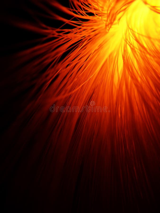 Ottico Di Fibra Nel Colore Rosso Del Fuoco Fotografia Stock - Immagine ...