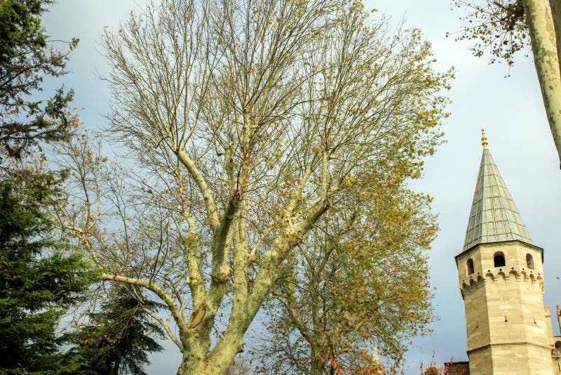 Ottoman Empire Stone Tower and Trees in Selective Shot in the Spring ...