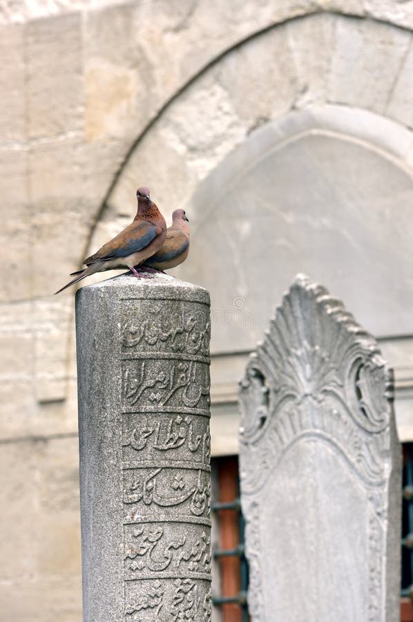 119 Birds Tombstone Stock Photos - Free & Royalty-Free Stock Photos ...