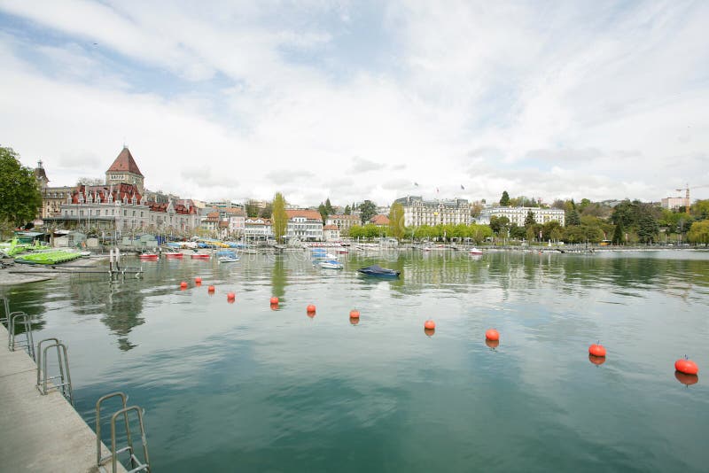 Swan and Chateau D Ouchy 05, Lausanne, Switzerland Stock Photo - Image ...