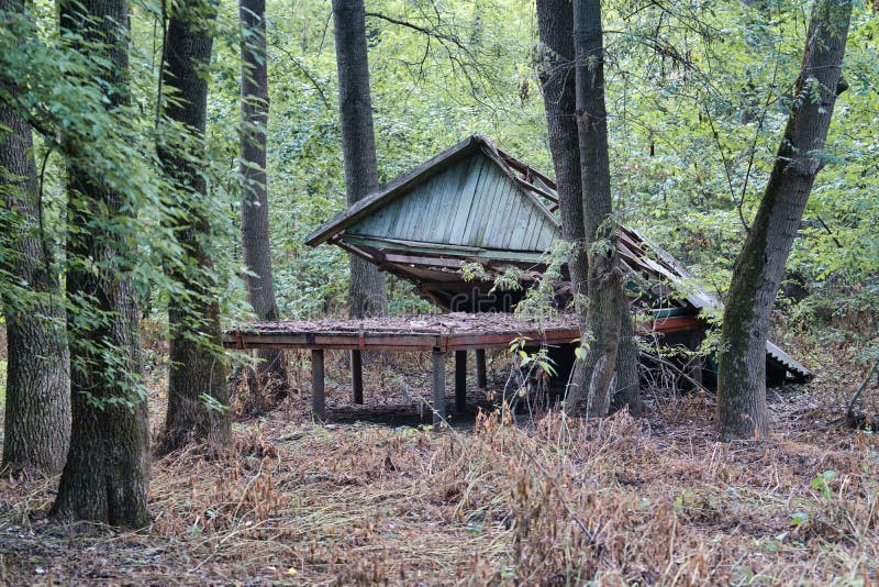 Oud Houten Huis in Het Midden Van Een Bos Stock Foto - Image of hout ...