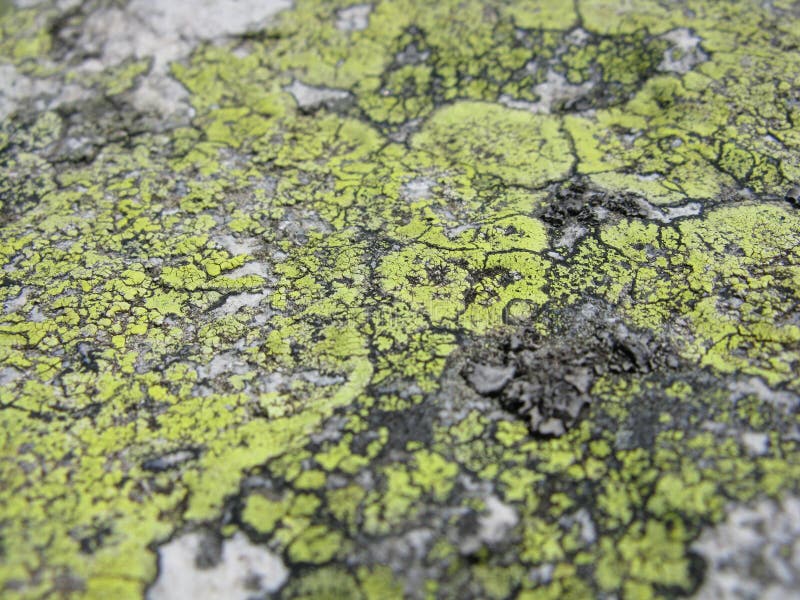 Oud korstmos op de rots stock afbeelding. Image of steen - 73653909