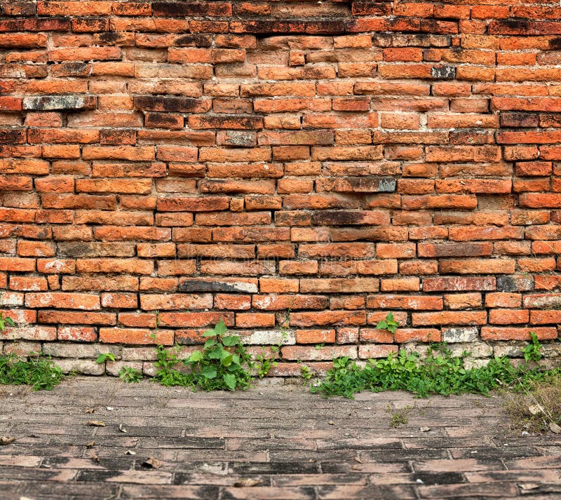 Oude Bakstenen Muur En Stoep Stock Afbeelding - Image of naughty ...