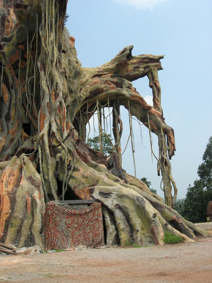 Oude boom stock foto. Image of achtergrond, boom, azië - 18232212