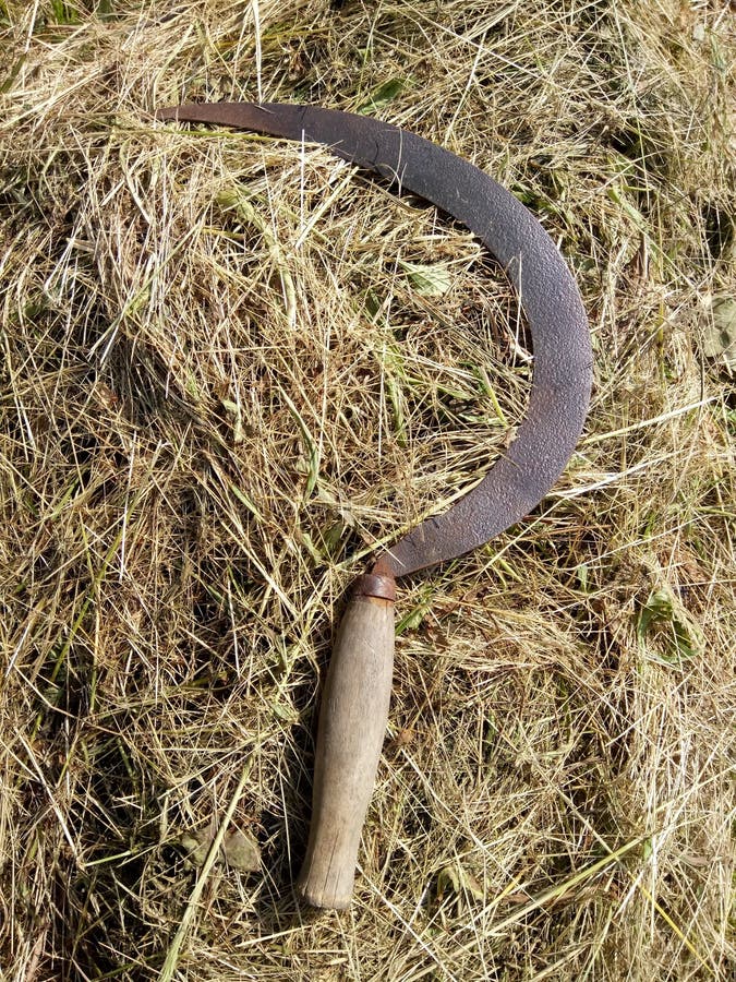 Sikkel op het sikkelbeeld stock foto. Image of verlichting - 198011554