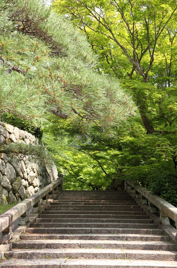 Oude trap in bos stock foto. Image of toegang, steen - 25058228