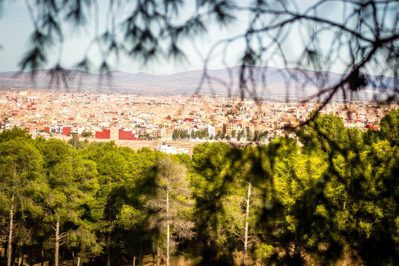 Oujda, Morocco stock photo. Image of pine, sunbeam, landscape - 124292800