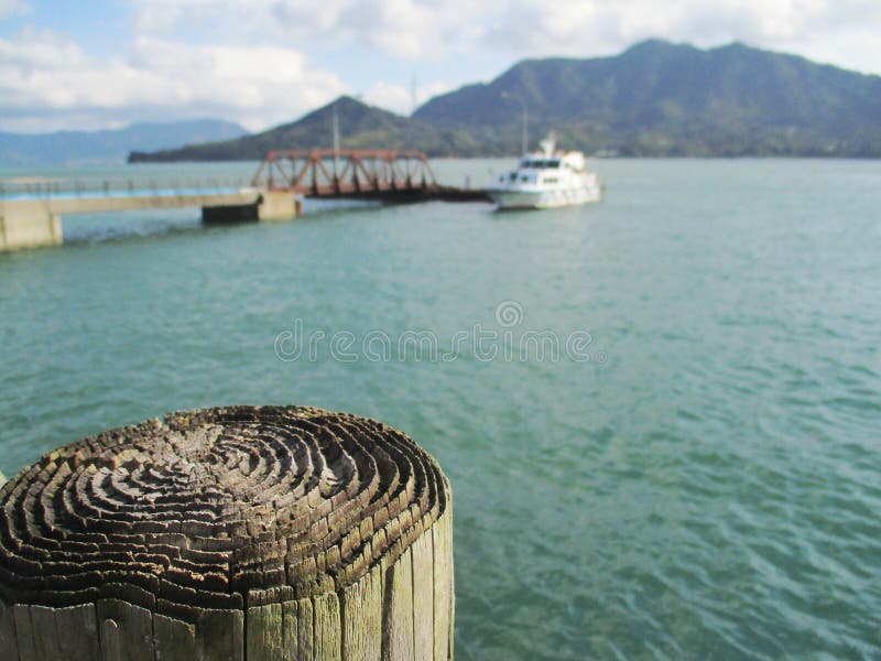 Rabbit Island stock photo. Image of oukunoshima, island - 106956128