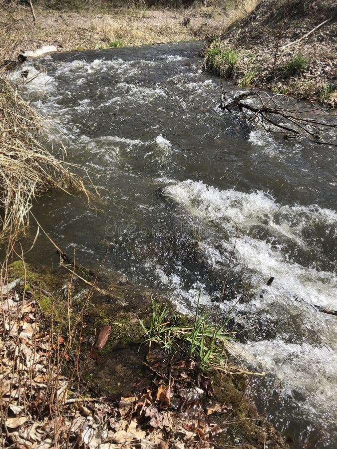 Our Creek Has Turned into a Raging River Stock Image - Image of ...