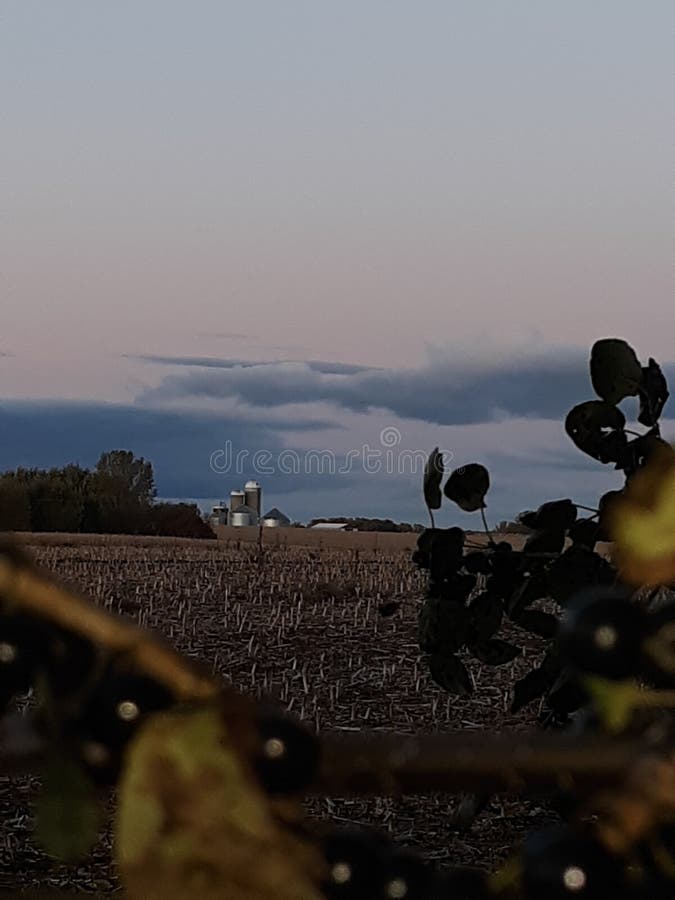 Our field stock image. Image of field, landscape, vintage - 161972403