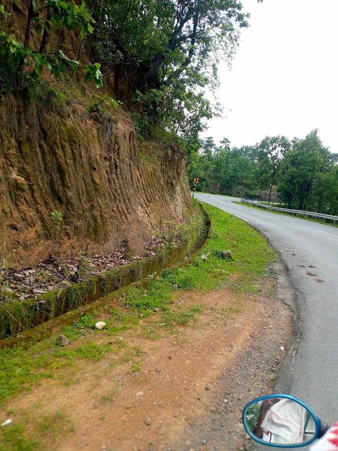 Foreststreet Stock Photos - Free & Royalty-Free Stock Photos from ...