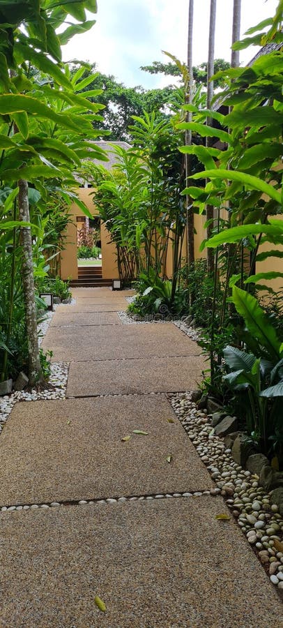 The Path To Future is Clear Ahead Stock Image - Image of future, clear ...