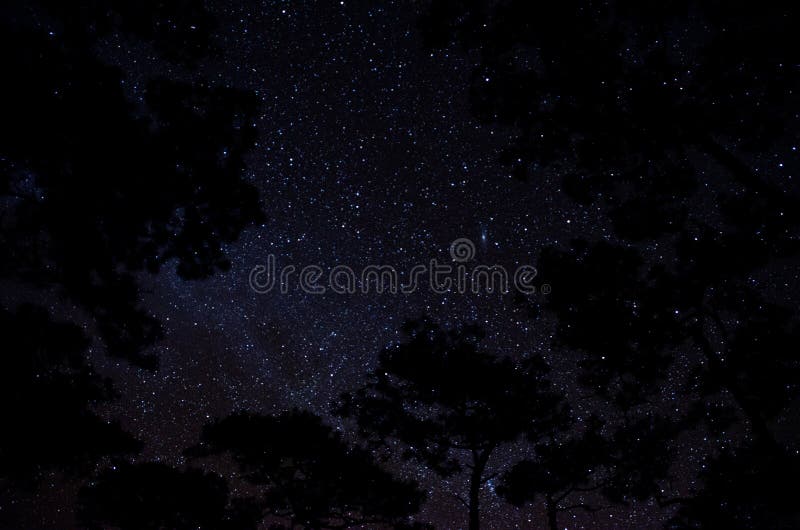 Our stars stock photo. Image of stars, milky, star, trees - 46516994