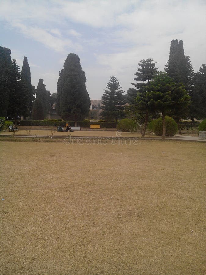 Our texla stock image. Image of grass, texla, ground - 81884643