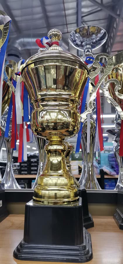 Our triumph stock photo. Image of champions, winner - 220742622