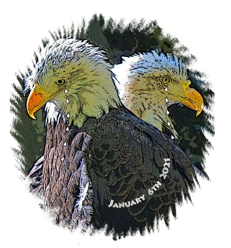 Our US National Bird is Sad Stock Illustration - Illustration of vote ...
