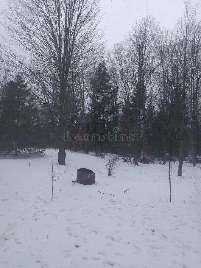 Our Wildlife Wintertime Snow Scape Gray Sky Stock Image - Image of ...