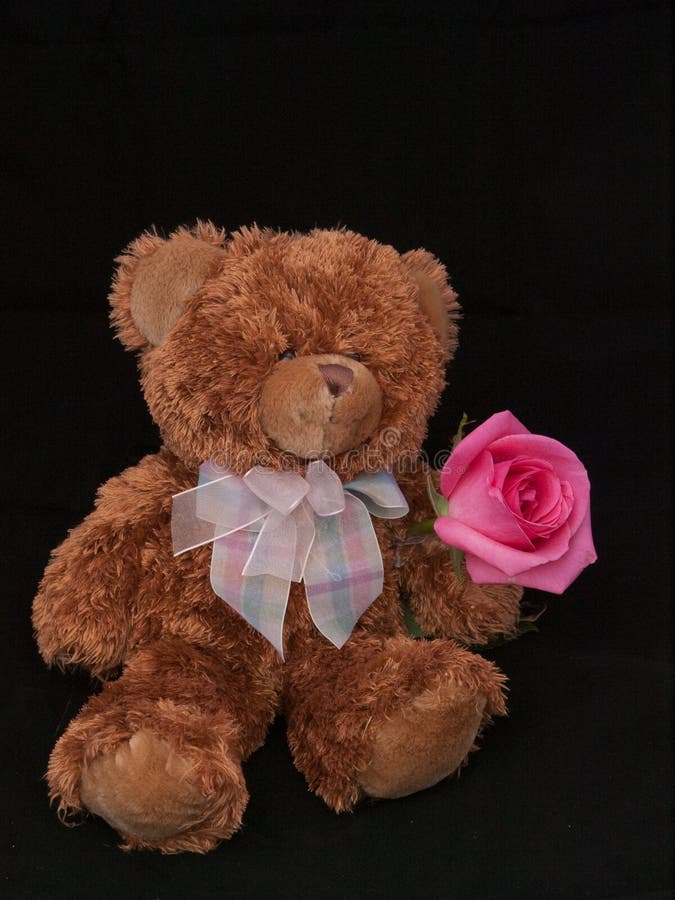 Ours De Nounours Avec Les Roses Rouges Image stock - Image du objet ...