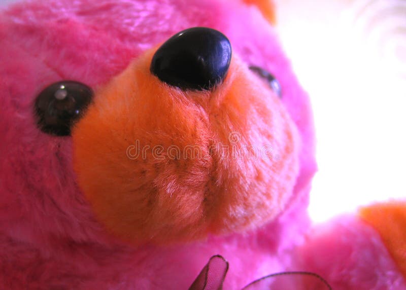 10,742 Photos de Ours De Nounours Rose Mignon - Photos de stock ...