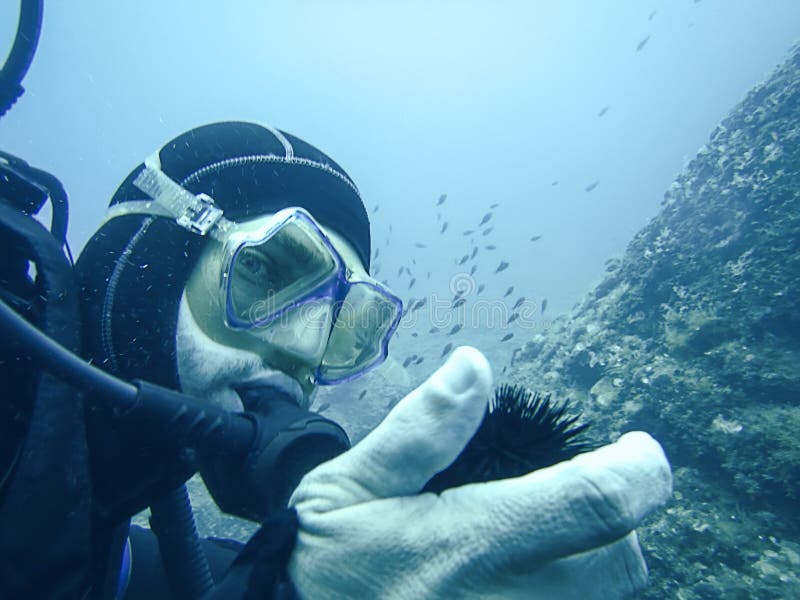 Plongeur Sous-marin En Monde Sous-marin Photo stock - Image du animal ...