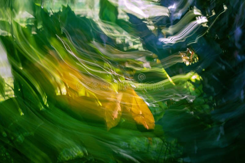 Out of Focus Background from Intentional Camera Movement Stock Photo ...