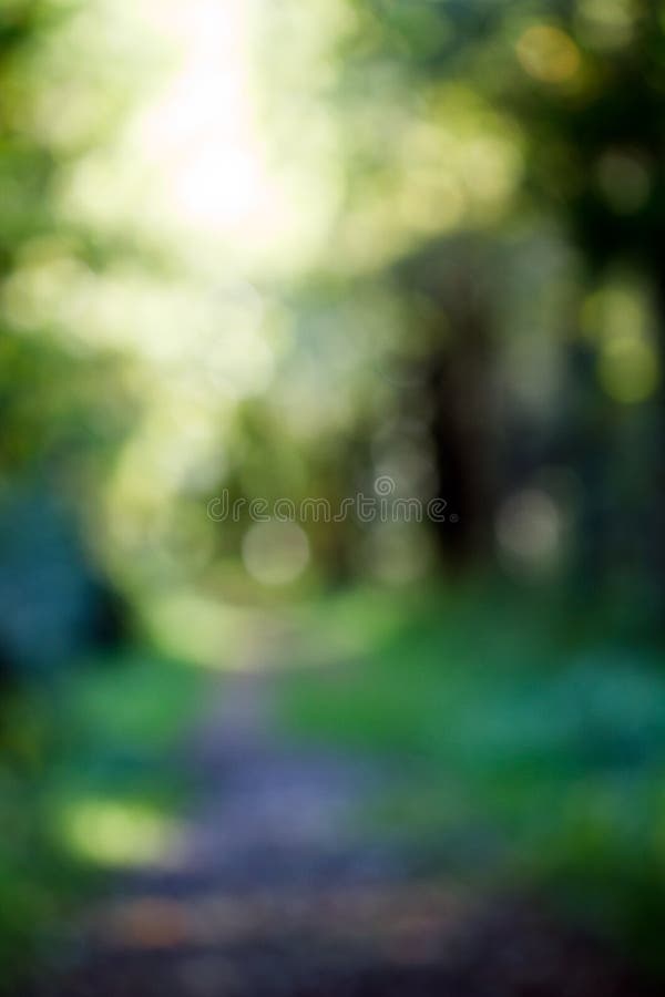 Forest out of focus stock image. Image of growing, scene - 46721125