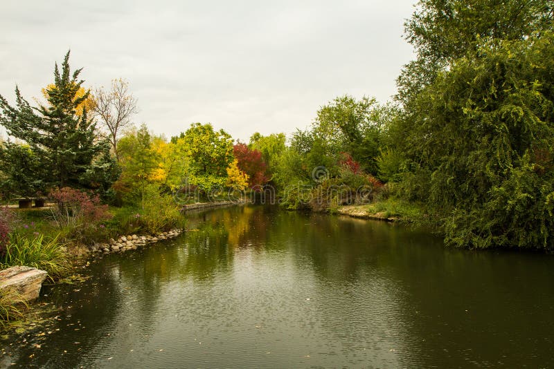 Out in nature stock photo. Image of fall, leaves, autumn - 59990860