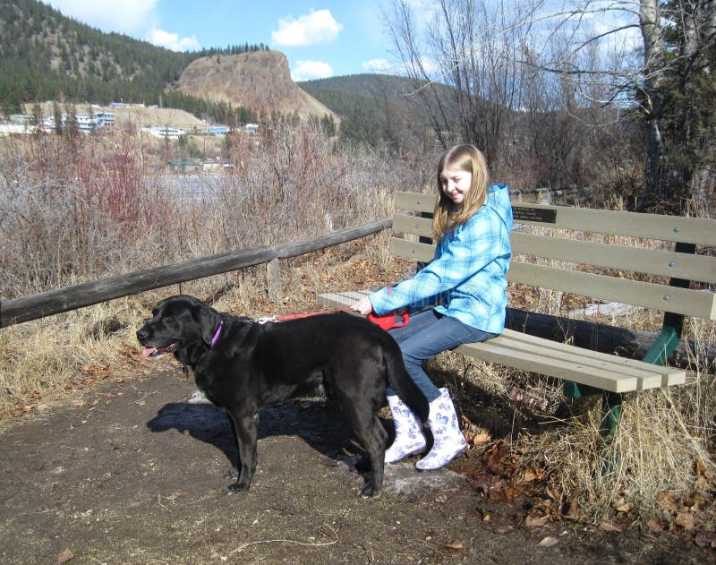 Girl controlling the dog stock photo. Image of park, rubber - 30123184